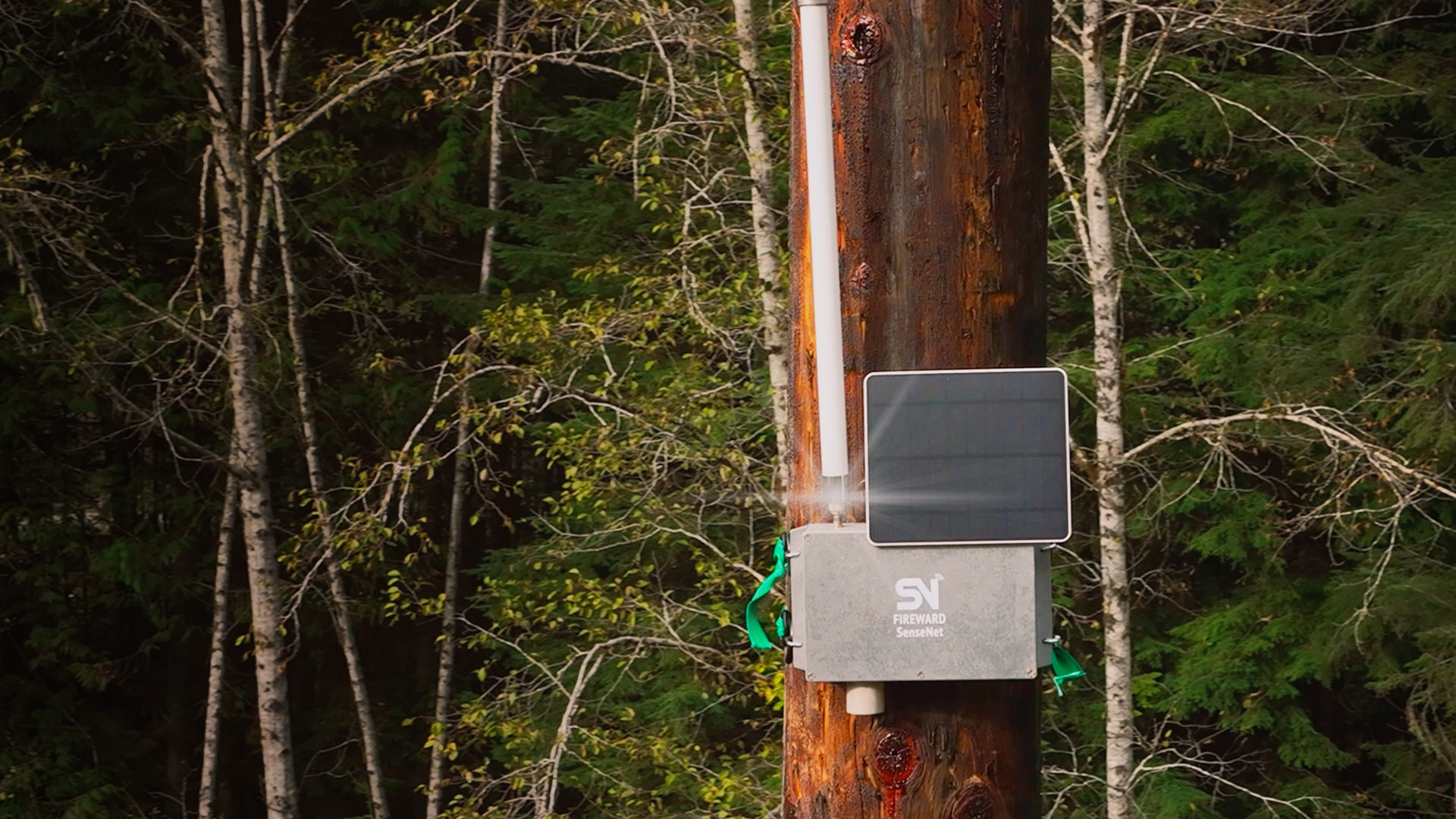 Technology - SenseNet Inc.