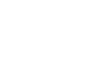 SenseNet - Rapid Wildfire Detection Solution