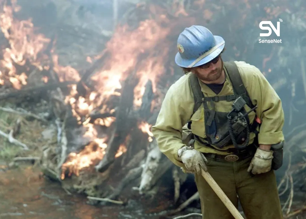 Wildfire Safety Tips for Hikers and Campers - SenseNet Inc.