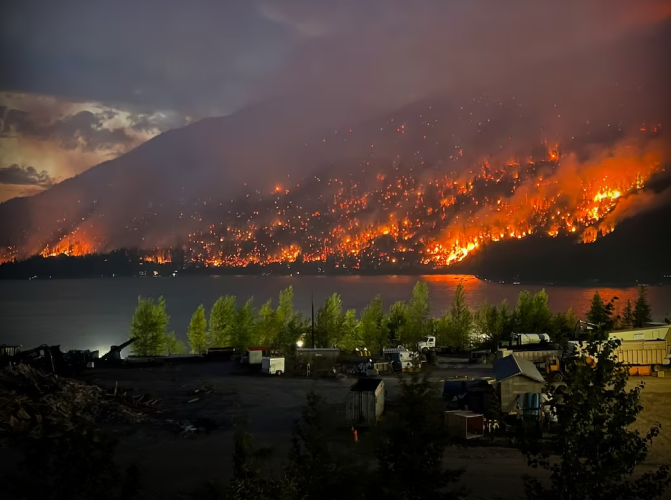 SenseNet - Rapid Wildfire Detection Solution