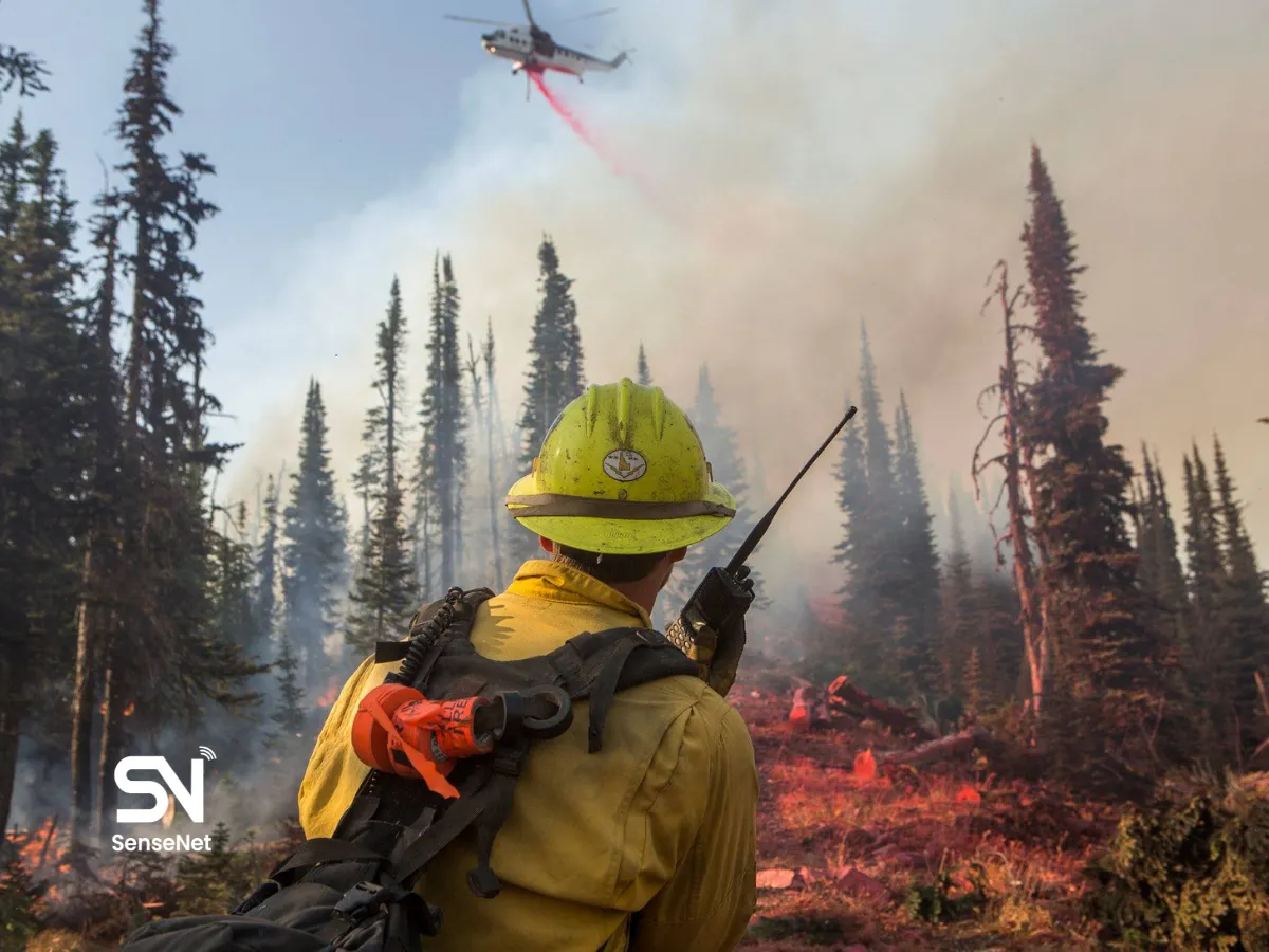 7 Ways to Protect Your Home and Forests from Wildfires - SenseNet Inc.